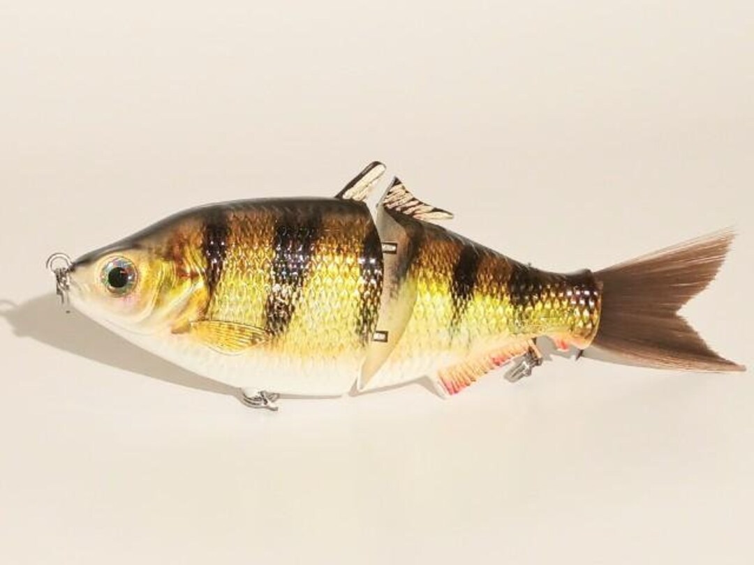 6 Perch Swimbait - Etsy