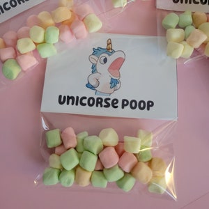 Bluey Inspired Edible Party Favor - Etsy