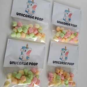 Bluey Inspired Edible Party Favor - Etsy