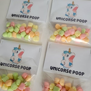 Bluey Inspired Edible Party Favor - Etsy