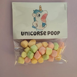 Bluey Inspired Edible Party Favor - Etsy