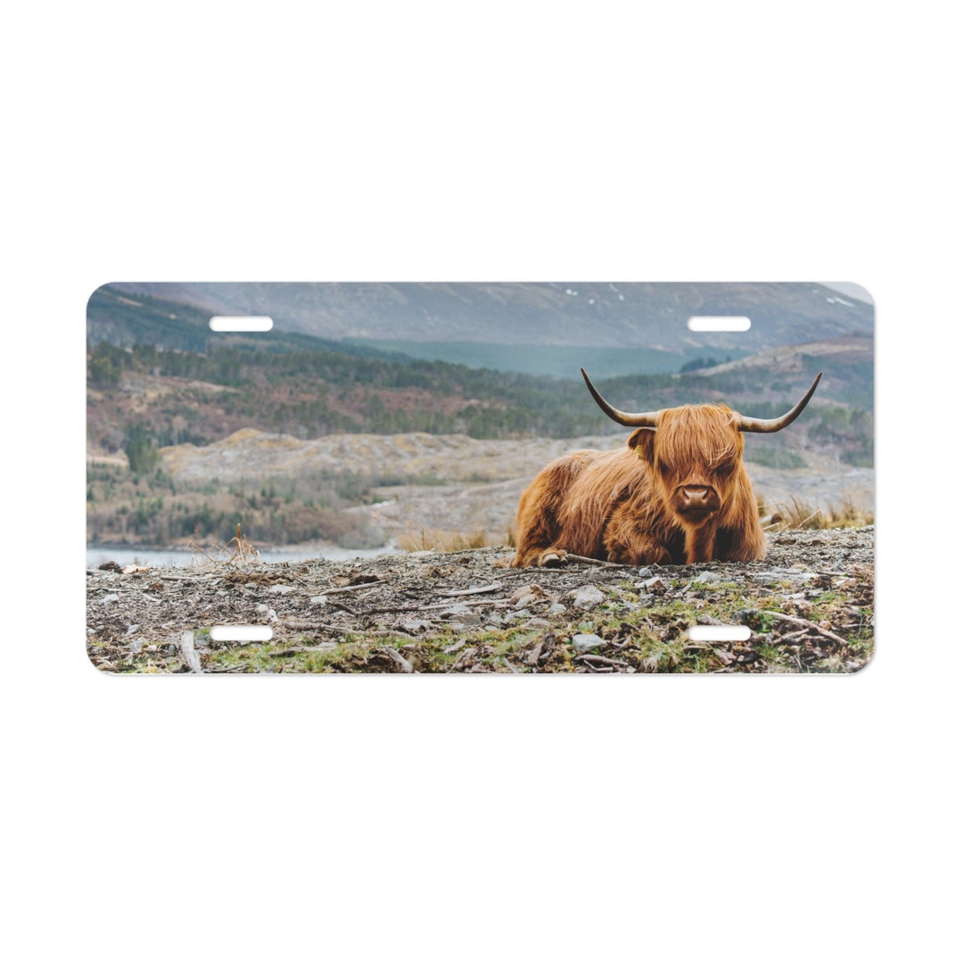 Longhorn Western Mountains License Plate, Boho Cow Skull License Plate ...