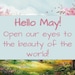 May Facebook Engagement Graphics and Interactive Posts Social Media ...