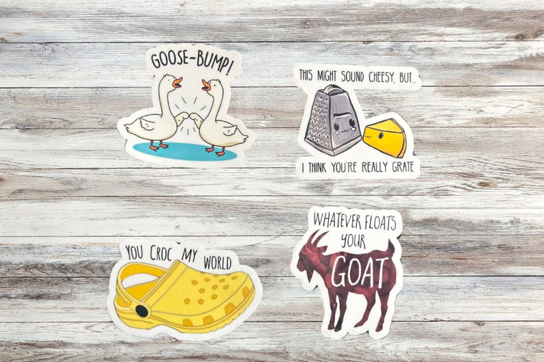Funny Pun Sticker Pack, Affirmation Vinyl Stickers, Random Waterproof ...