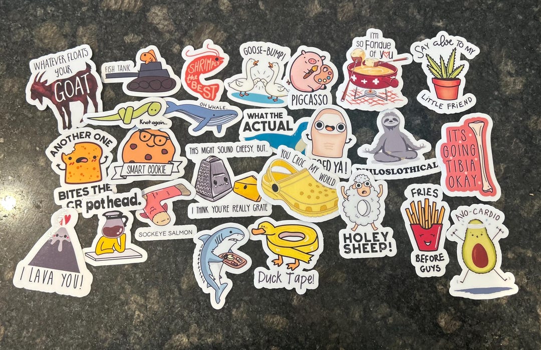 Funny Pun Sticker Pack, Affirmation Vinyl Stickers, Random Waterproof ...