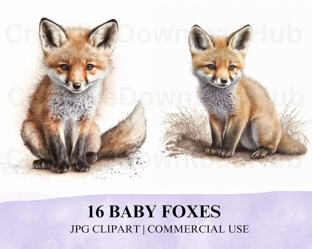 16 JPG Baby Foxes Watercolor Clipart Download, Cute Baby Fox Clipart ...