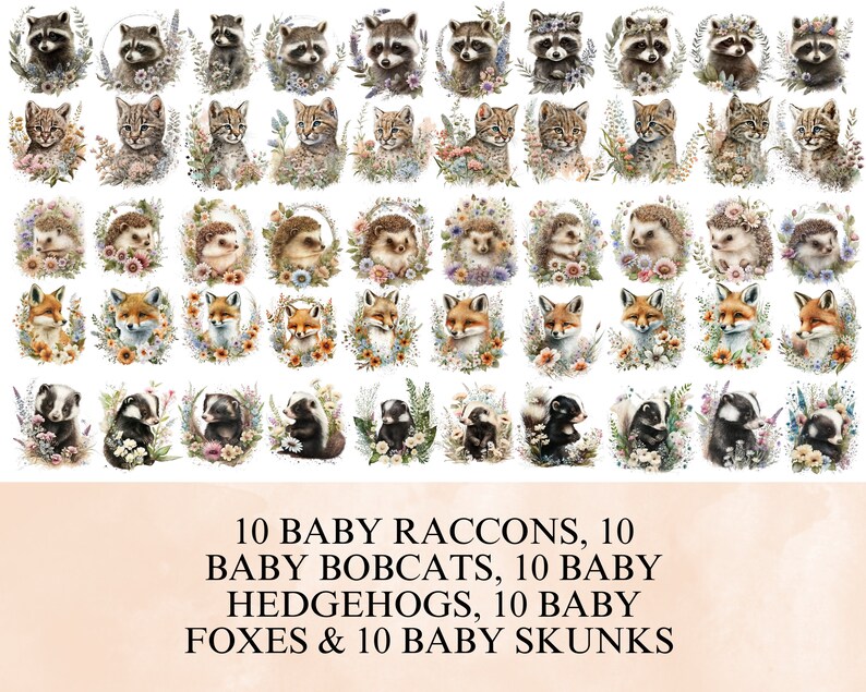Baby Woodland Animals Clipart Bundle, 100 PNG Clipart Images of Cute ...