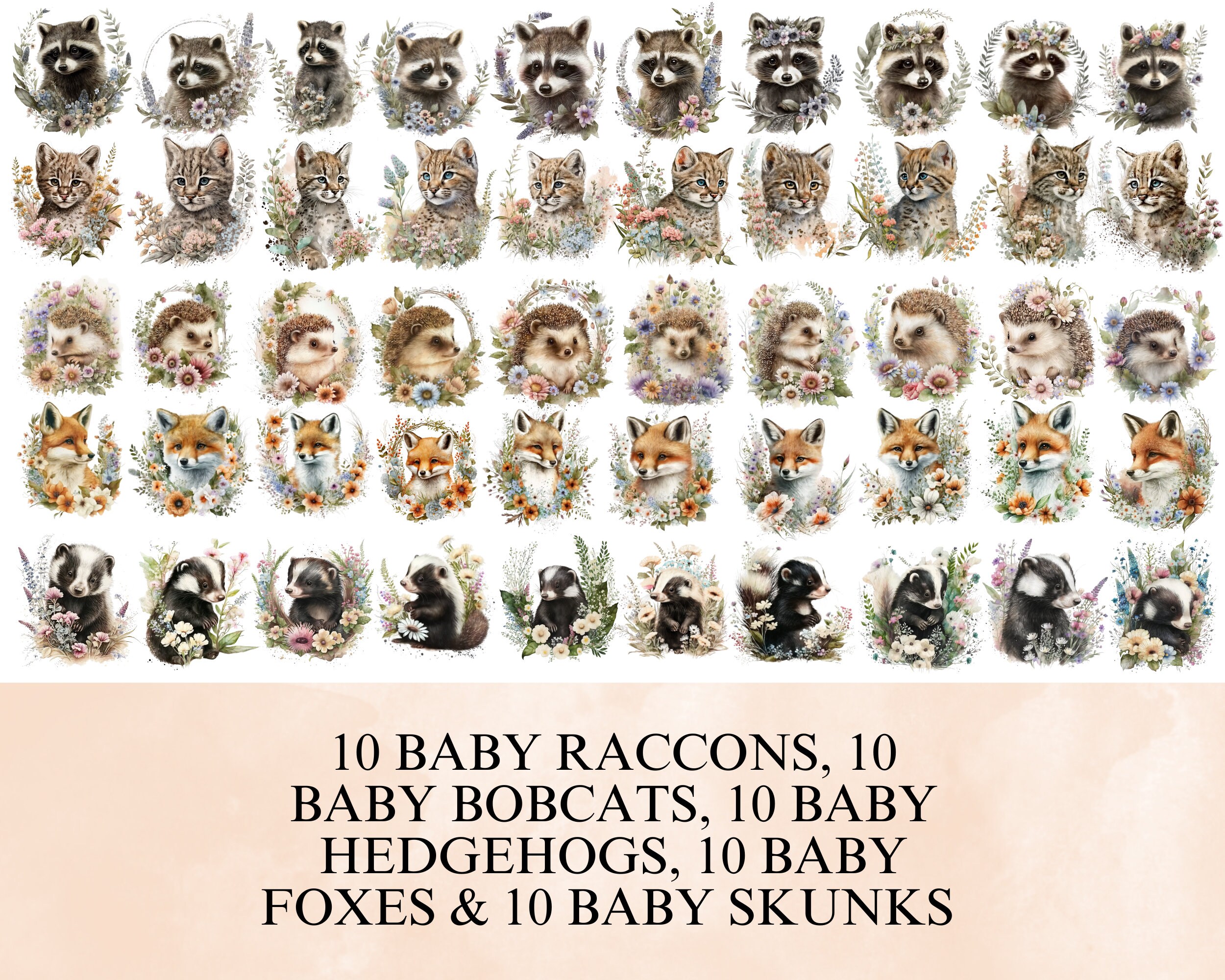 Baby Woodland Animals Clipart Bundle, 100 PNG Clipart Images of Cute ...