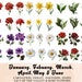 72 PNG Cartoon Style Birth Month Flowers Clipart, Clipart Birth Month ...