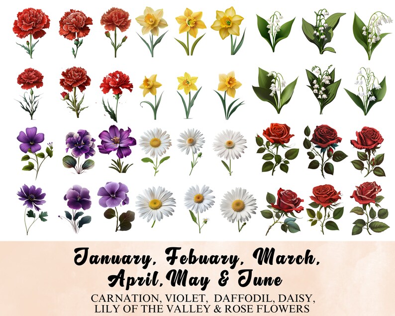 72 PNG Cartoon Style Birth Month Flowers Clipart, Clipart Birth Month ...