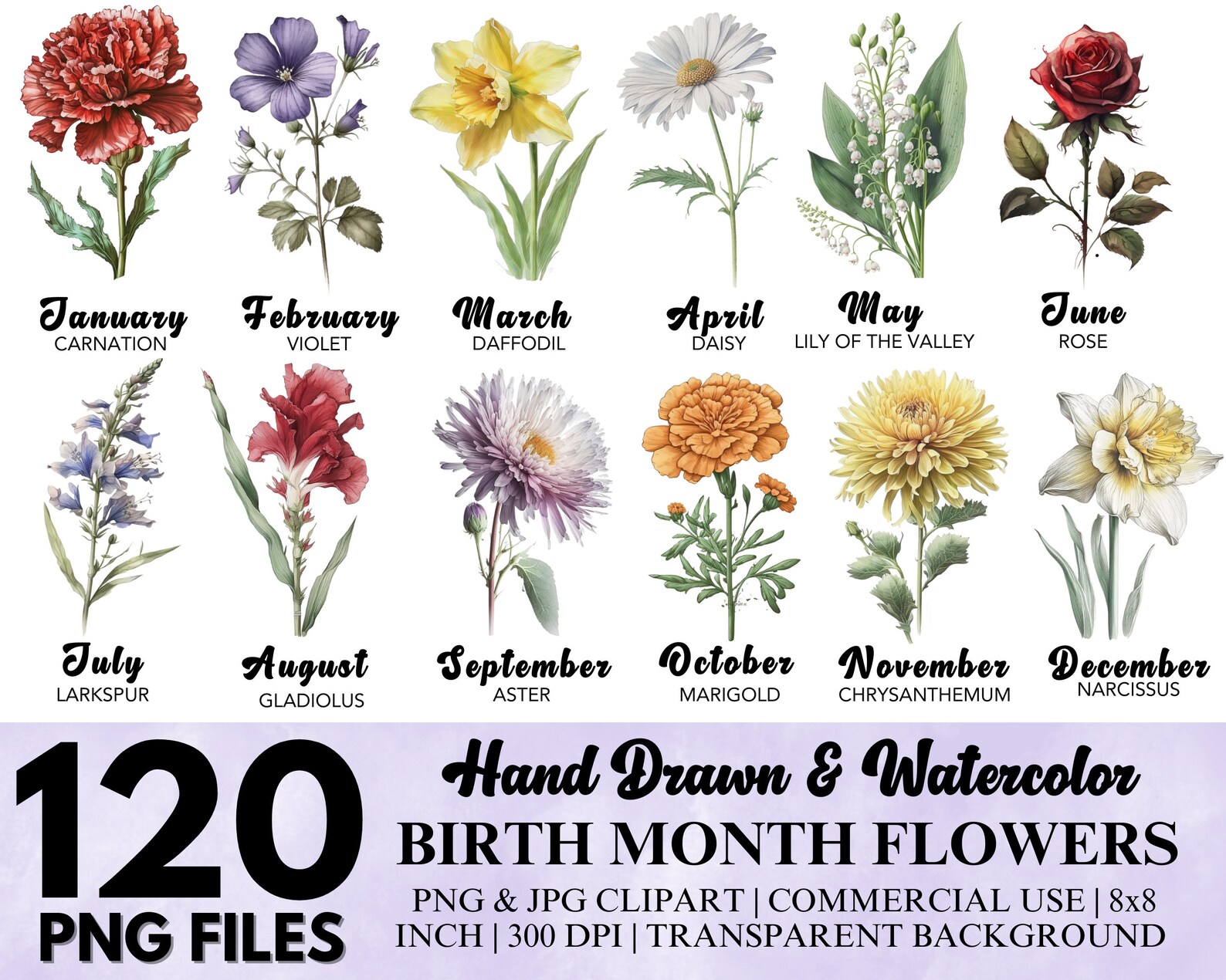 120 PNG Birth Month Flowers Clipart, Hand Drawn Watercolor Style Birth ...