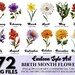 72 PNG Cartoon Style Birth Month Flowers Clipart, Clipart Birth Month ...
