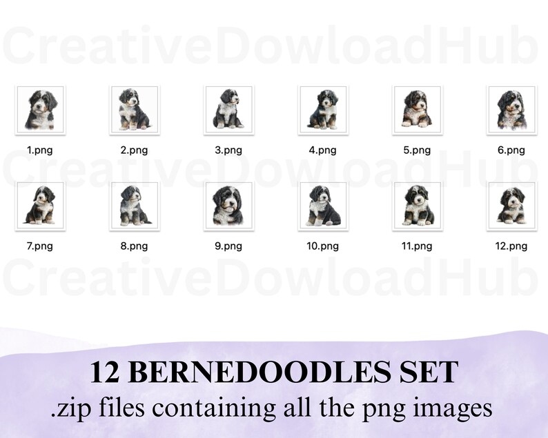 12 PNG Bernedoodles Clipart, Bernedoodle Watercolor Clipart, Clipart ...