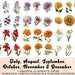 72 PNG Cartoon Style Birth Month Flowers Clipart, Clipart Birth Month ...