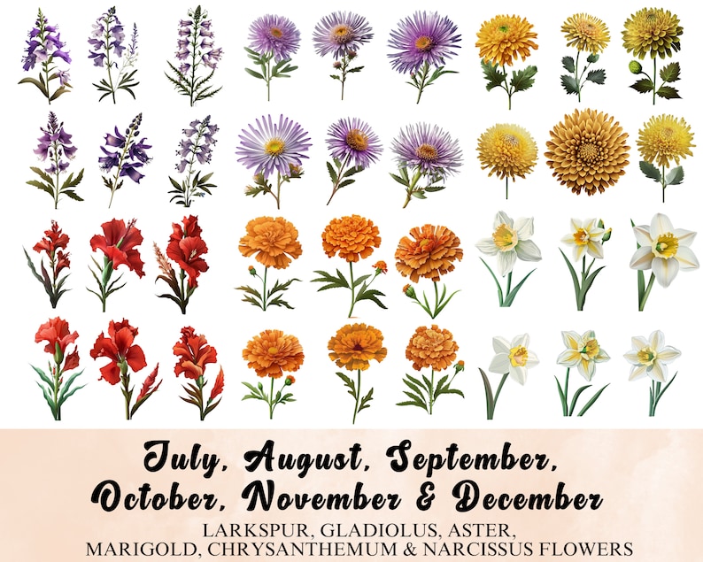 72 PNG Cartoon Style Birth Month Flowers Clipart, Clipart Birth Month ...