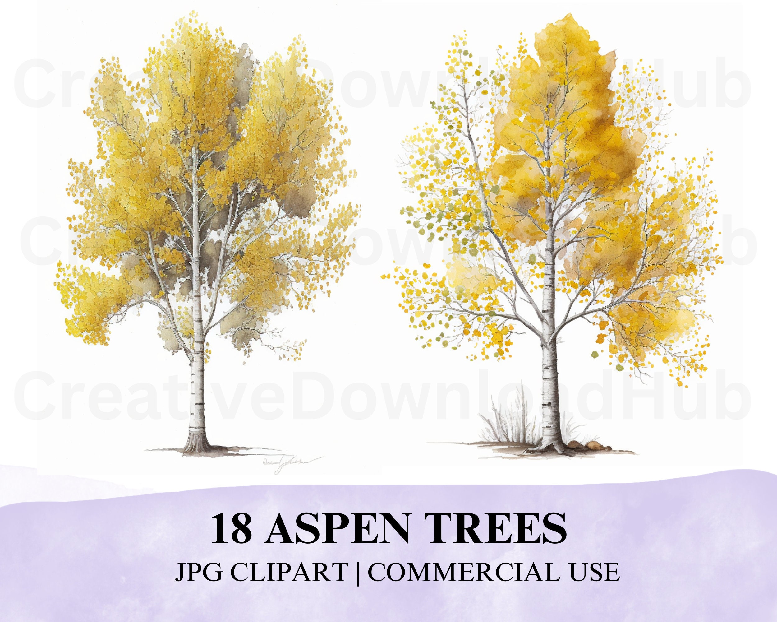 Aspen Leaves Clipart Background