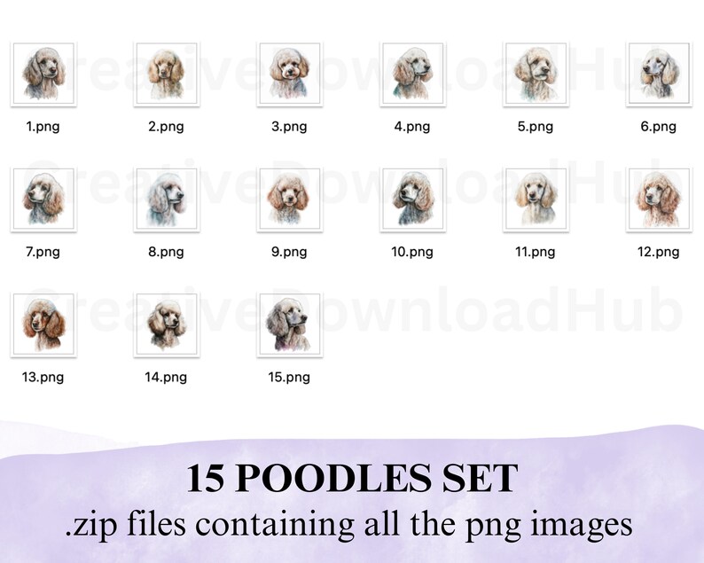 15 PNG Poodles Watercolor Clipart, Poodle Watercolor PNG Clipart ...