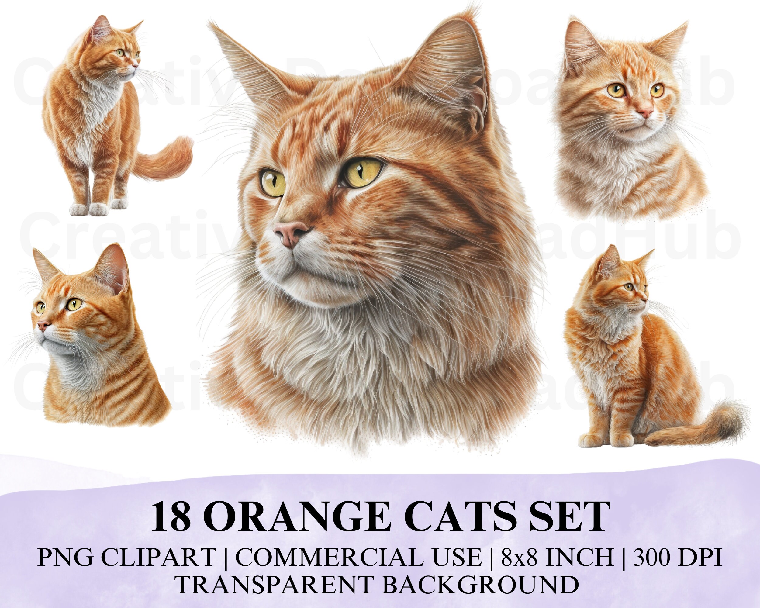 Orange Cat Clipart