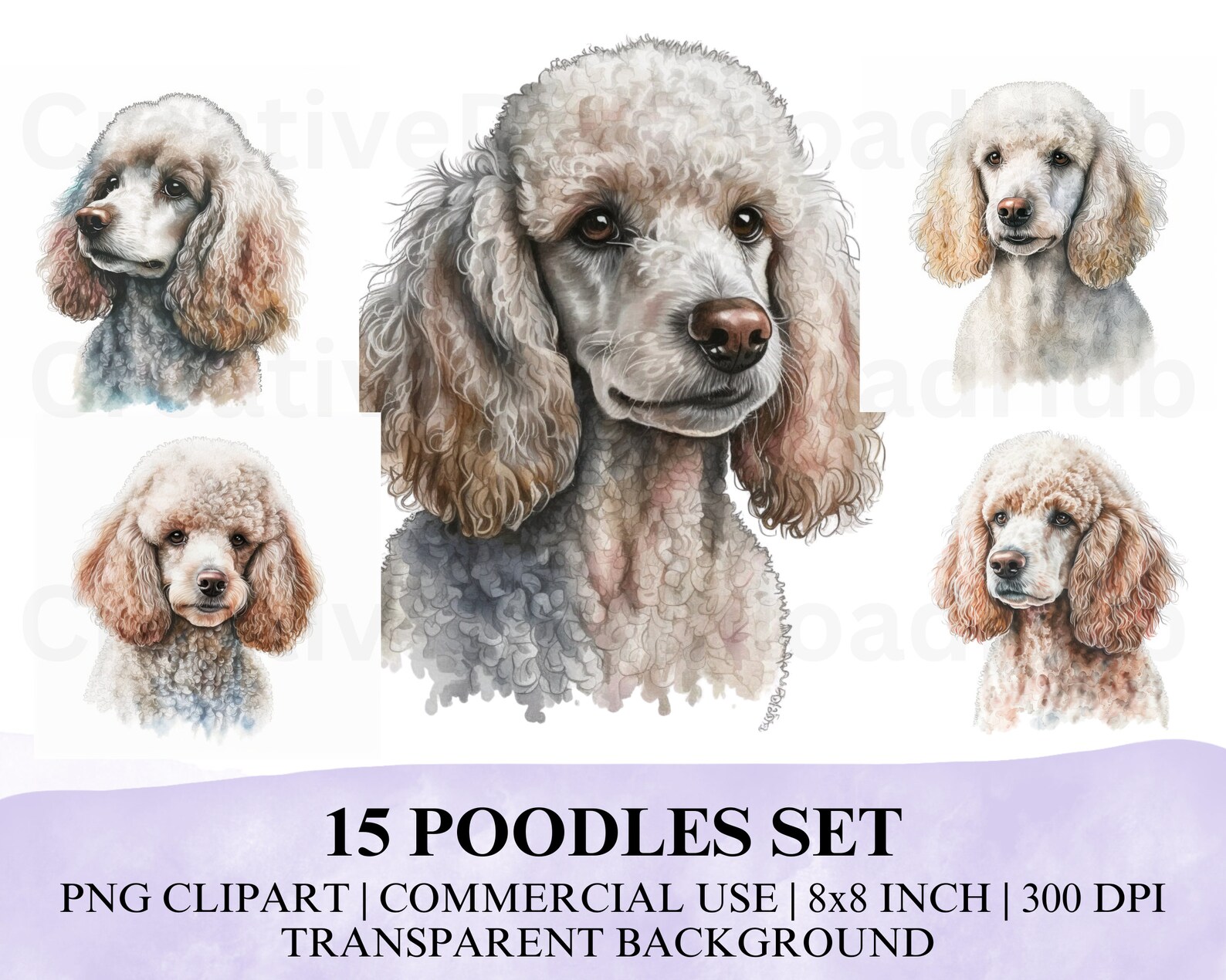 15 PNG Poodles Watercolor Clipart, Poodle Watercolor PNG Clipart ...