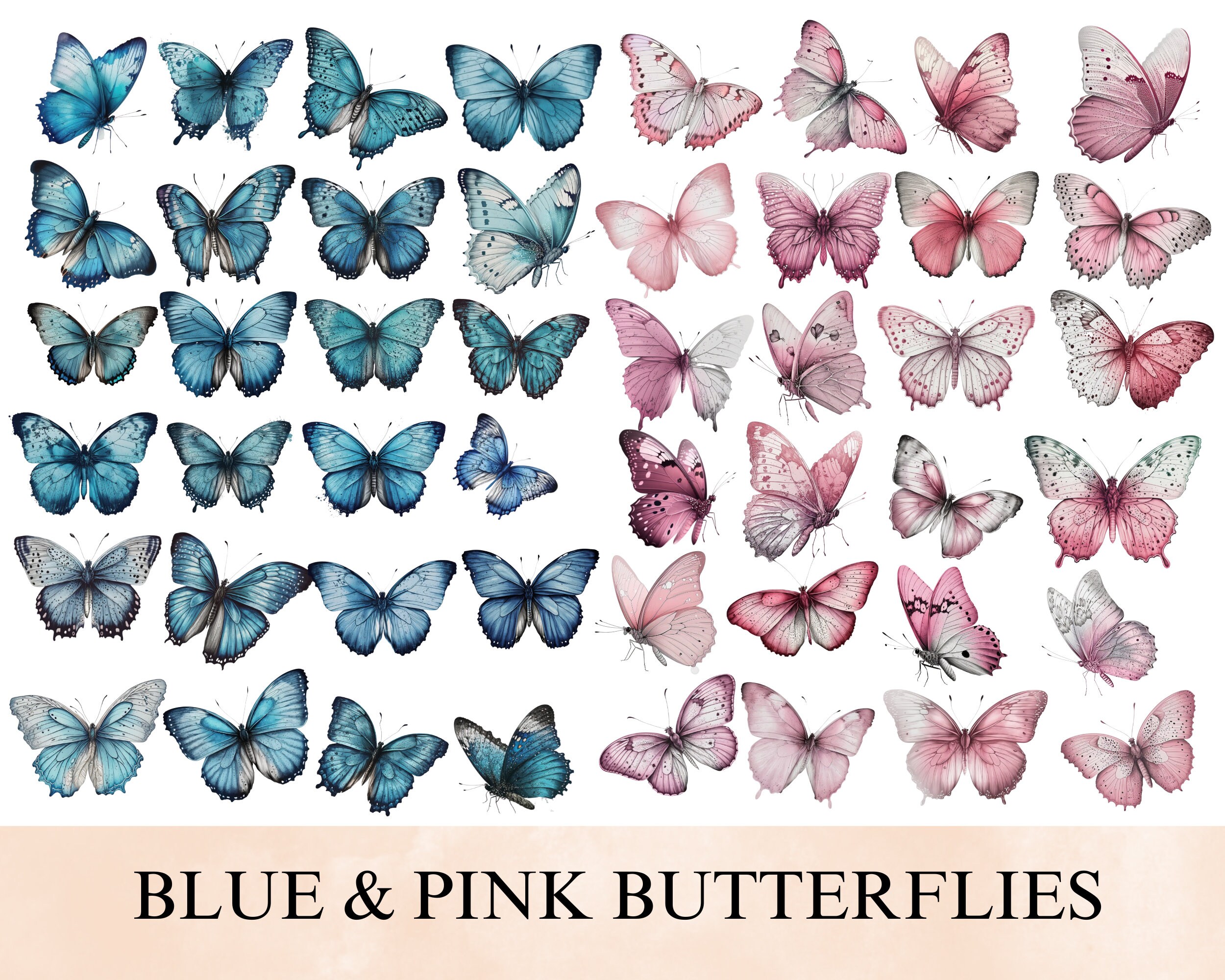 Butterflies Clipart Bundle, 150 PNG Watercolor and Hand Drawn ...