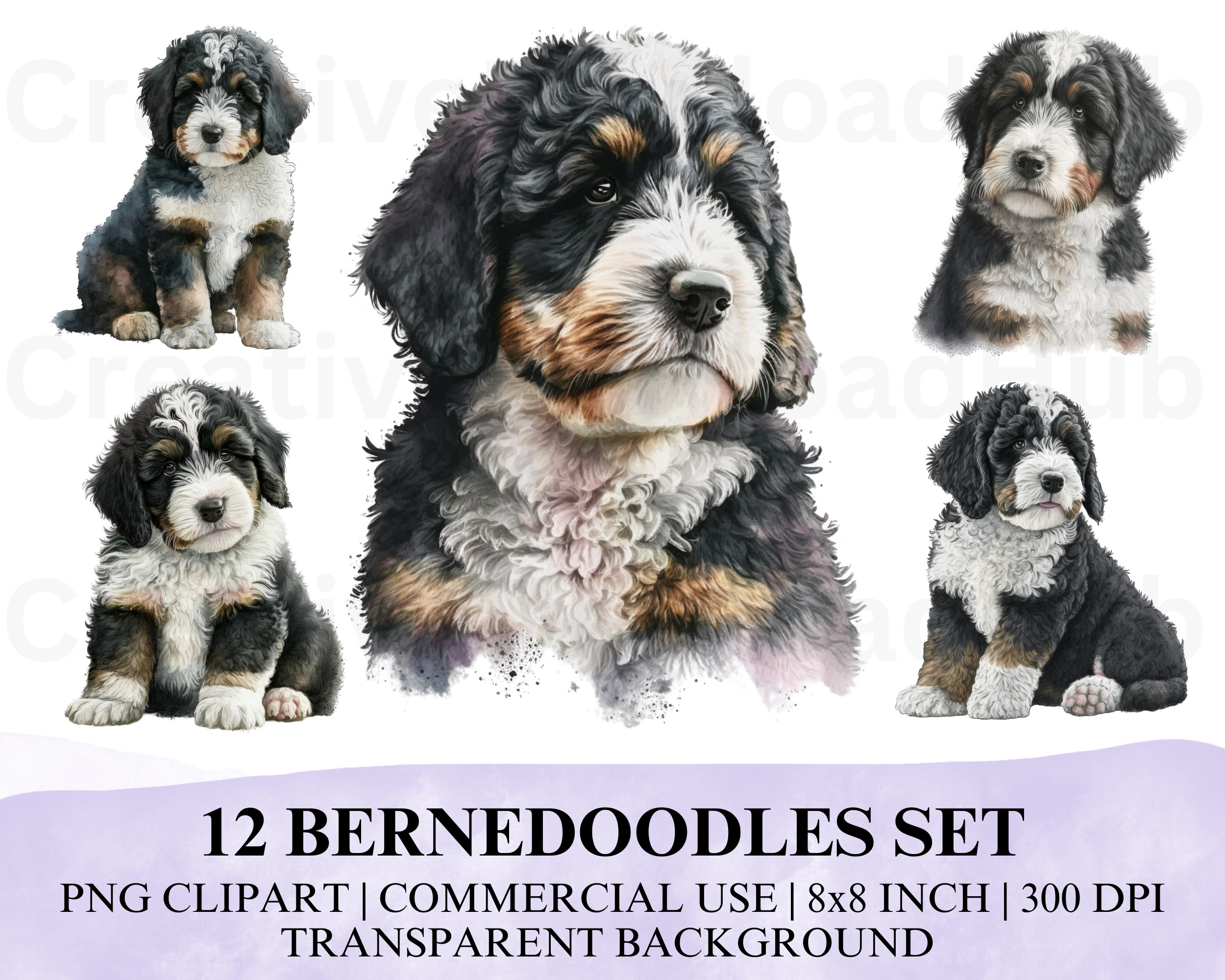 12 PNG Bernedoodles Clipart, Bernedoodle Watercolor Clipart, Clipart ...