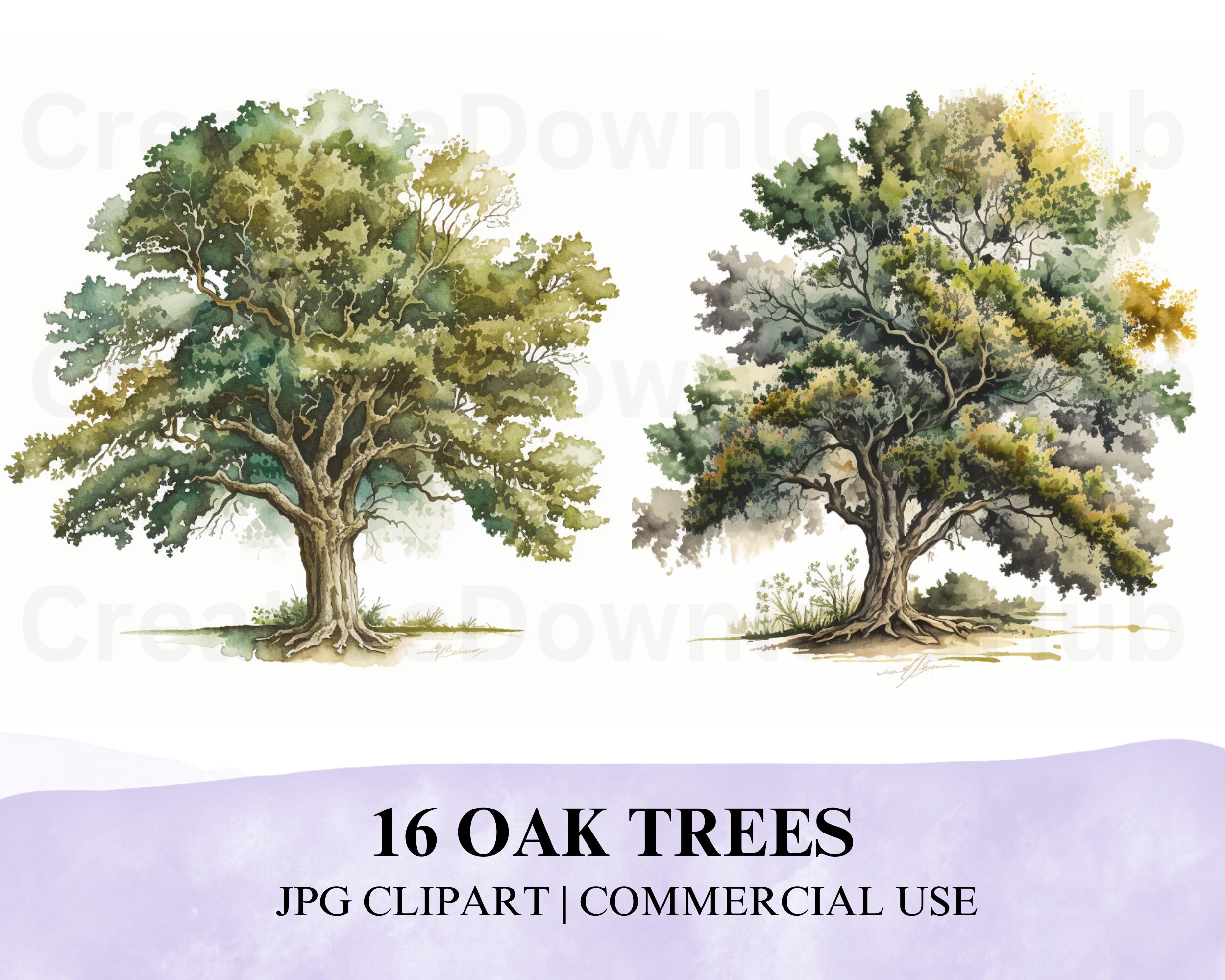 16 JPG Oak Trees Watercolor Clipart Download, Oak Trees Clipart JPG ...