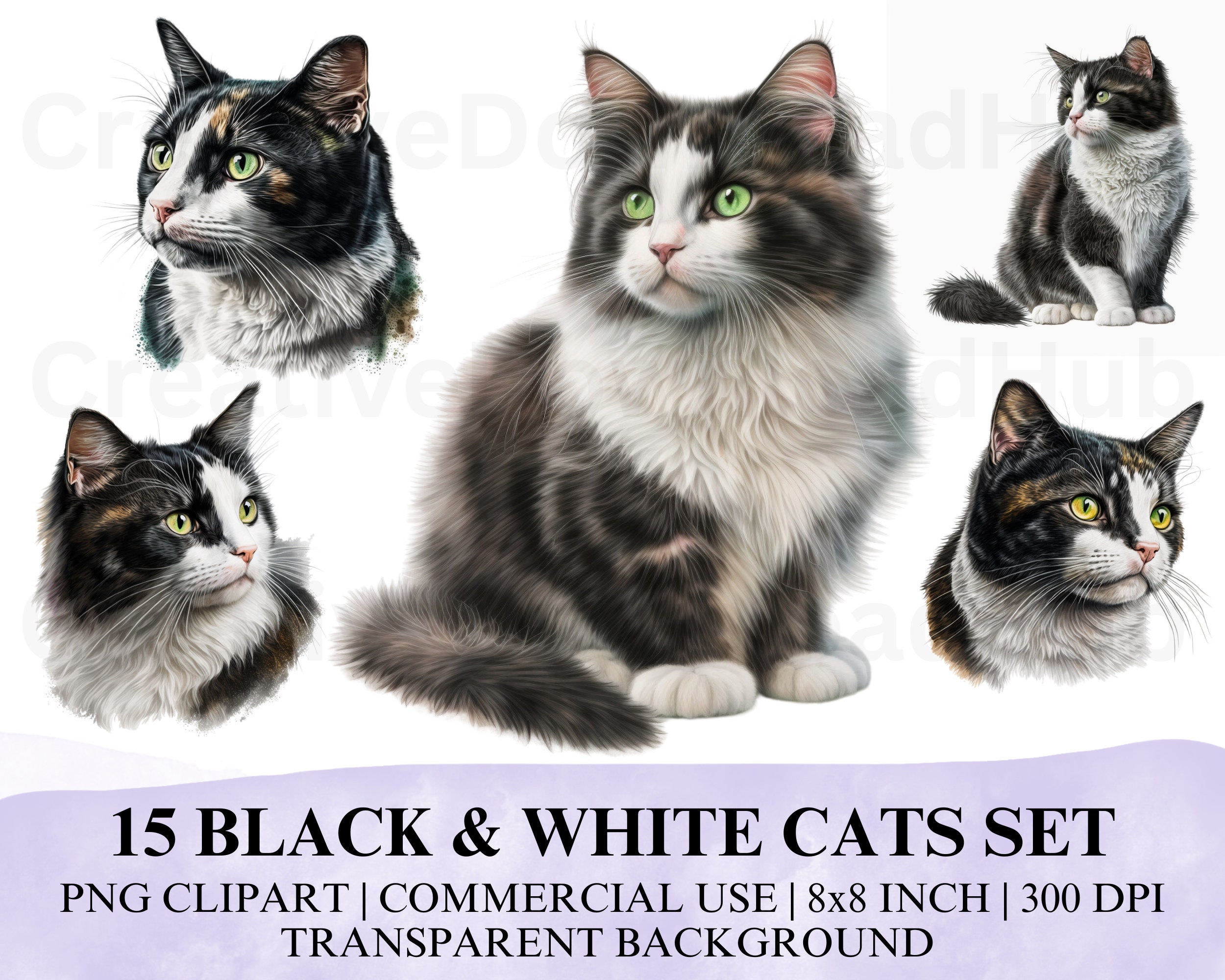 15 PNG Black & White Cats Watercolor Clipart Download, Black and White ...