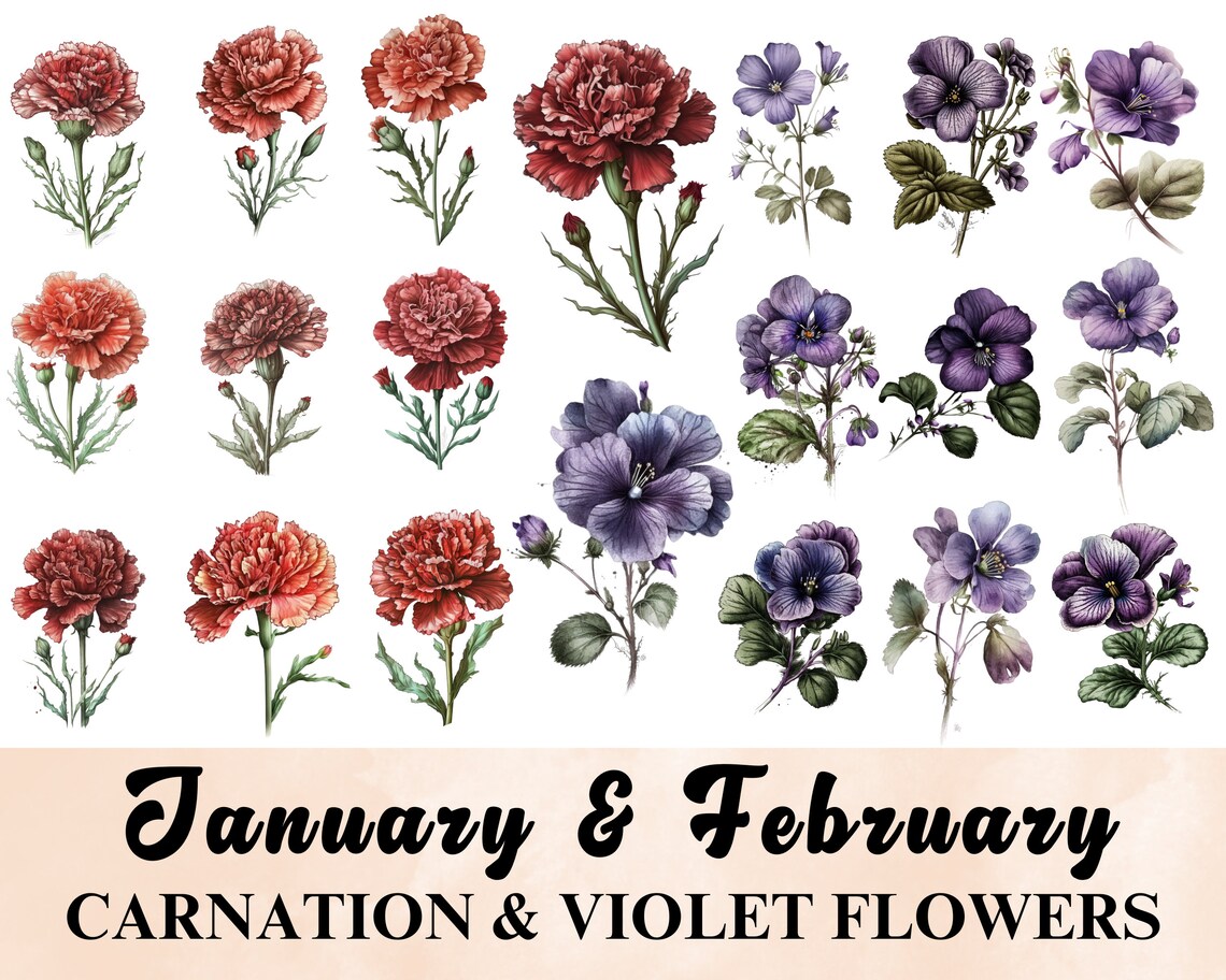 120 PNG Birth Month Flowers Clipart, Hand Drawn Watercolor Style Birth ...
