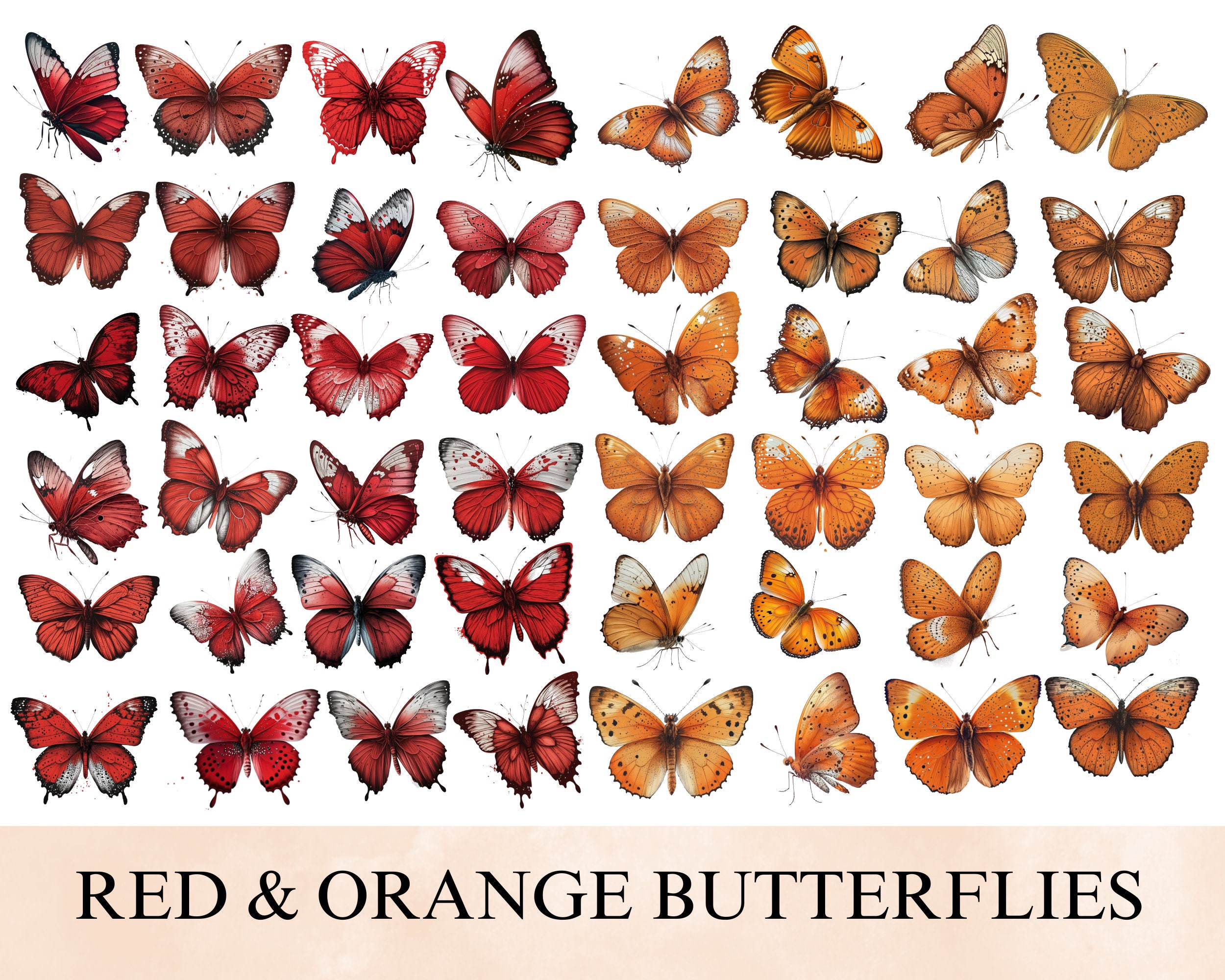 Butterflies Clipart Bundle, 150 PNG Watercolor and Hand Drawn ...