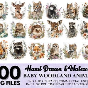 Baby Woodland Animals Clipart Bundle, 100 PNG Clipart Images of Cute ...