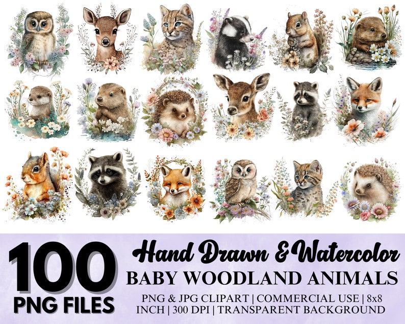 Baby Woodland Animals Clipart Bundle, 100 PNG Clipart Images of Cute ...