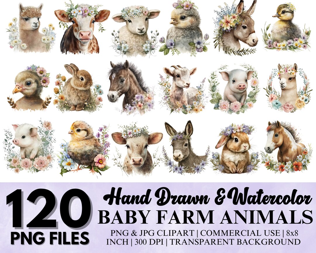Farm Animals Clipart Bundle, 120 PNG Baby Farm Animals Clipart ...