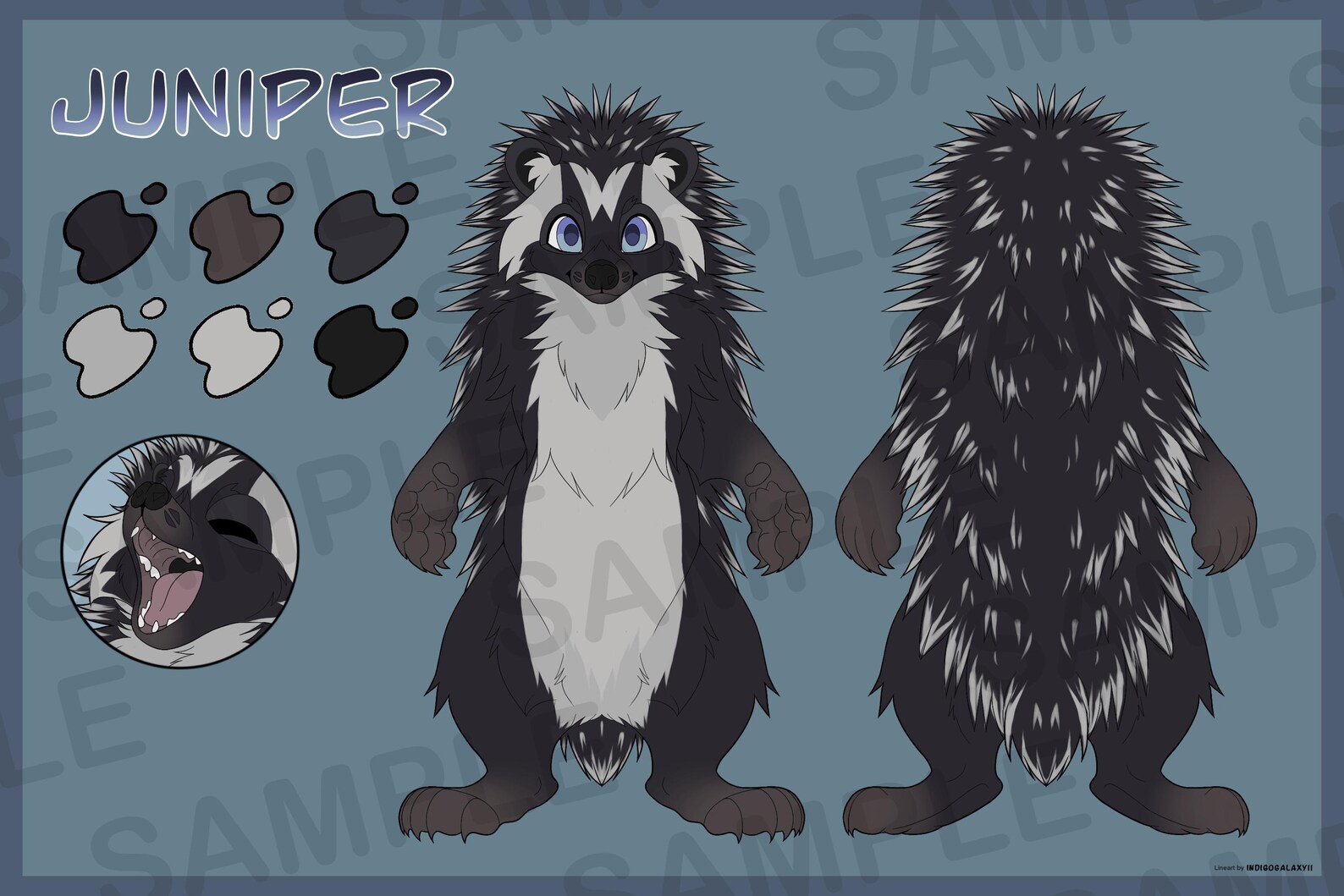 Hedgehog Reference Sheet Base - Etsy