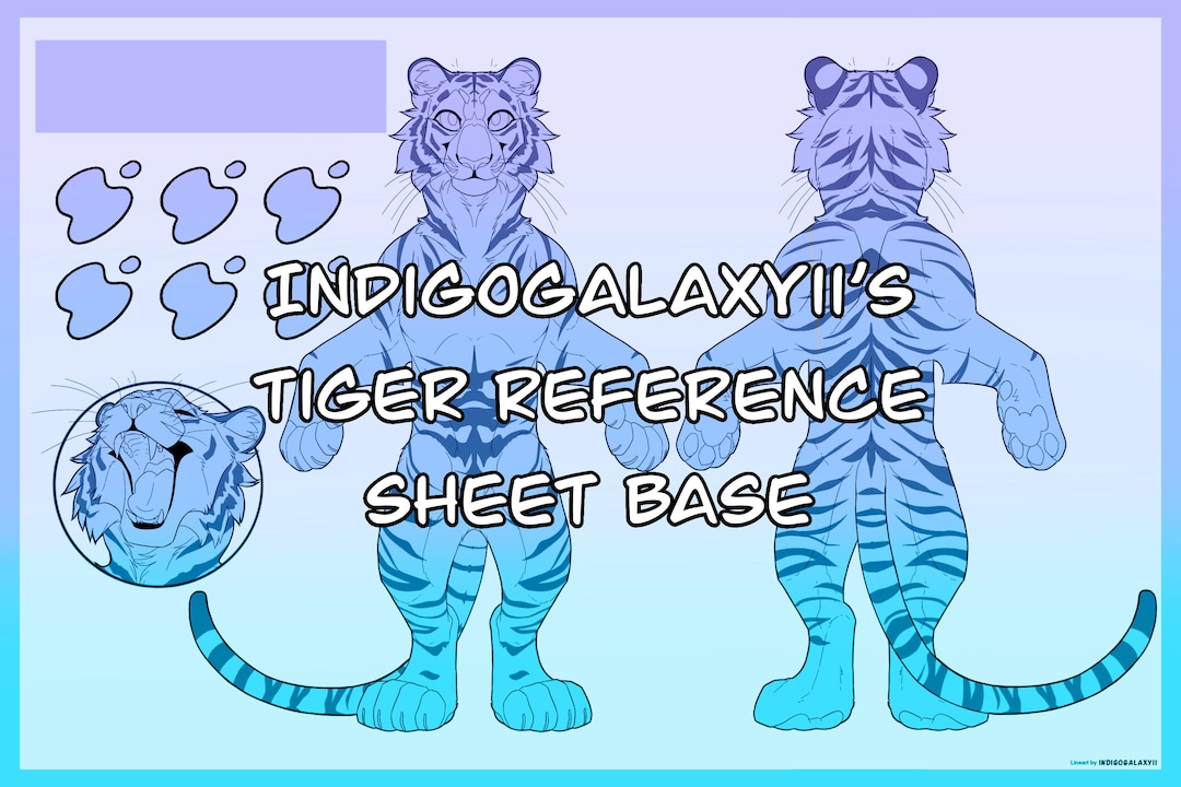 Tiger Reference Sheet Base - Etsy