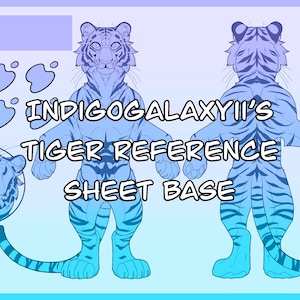 Tiger Reference Sheet Base - Etsy
