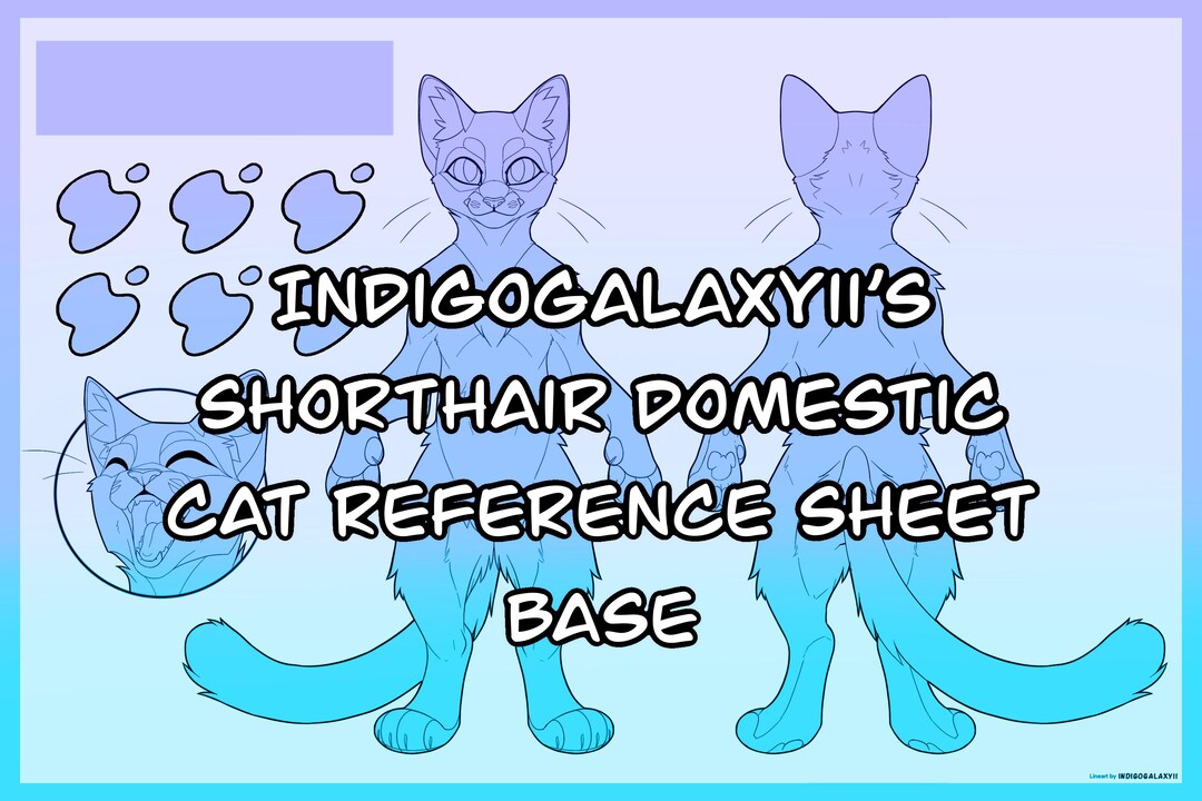 Shorthair Domestic Cat Reference Sheet Base - Etsy
