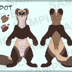 Ferret Reference Sheet Base - Etsy