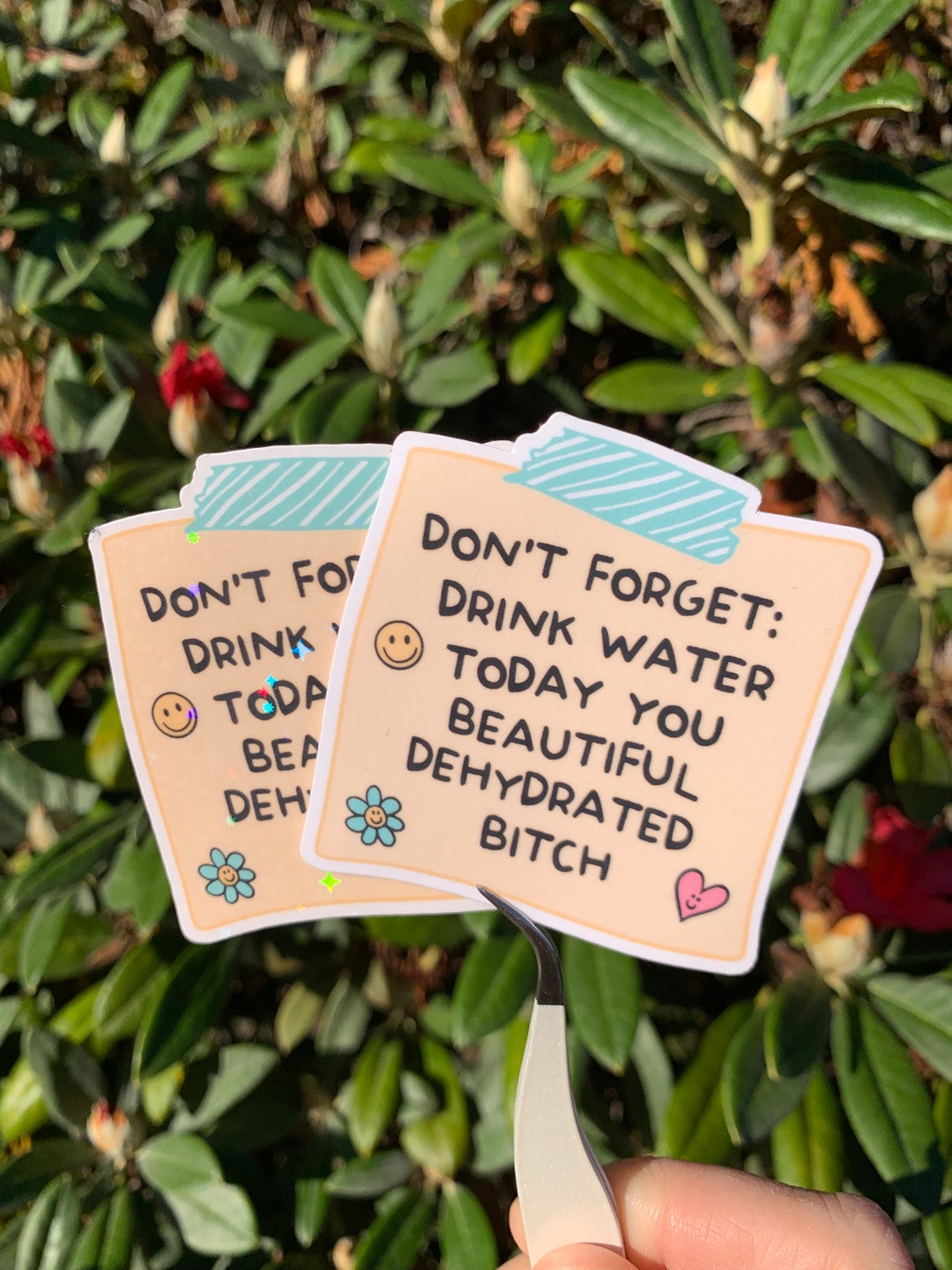 Don’t Forget: Drink Your Water Today You Beautiful Dehydrated Bitch ...