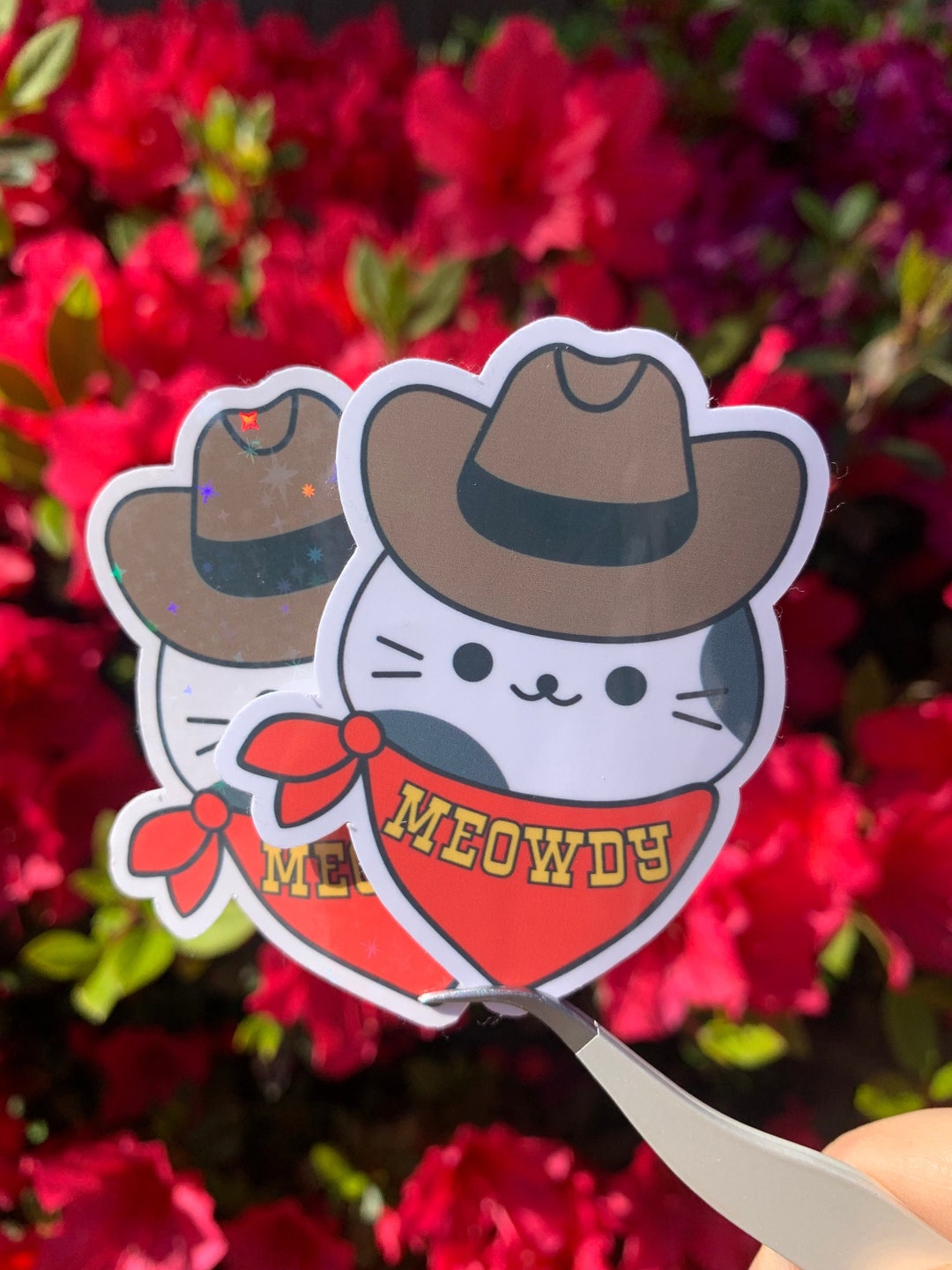 Meowdy Cat Funny Country Western Cowboy Sticker | Glossy or Holographic ...