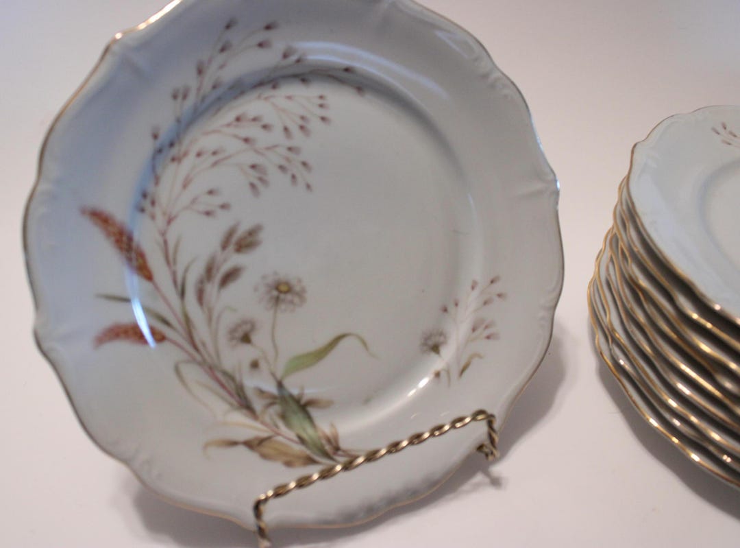 SET of TEN 7.75 Inch Side Plates, Exclusive Wheat N Daisy JAGN Bavaria ...