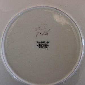 Sutherland English Bone China Souvenir Plate of Prospect Point, Niagara ...