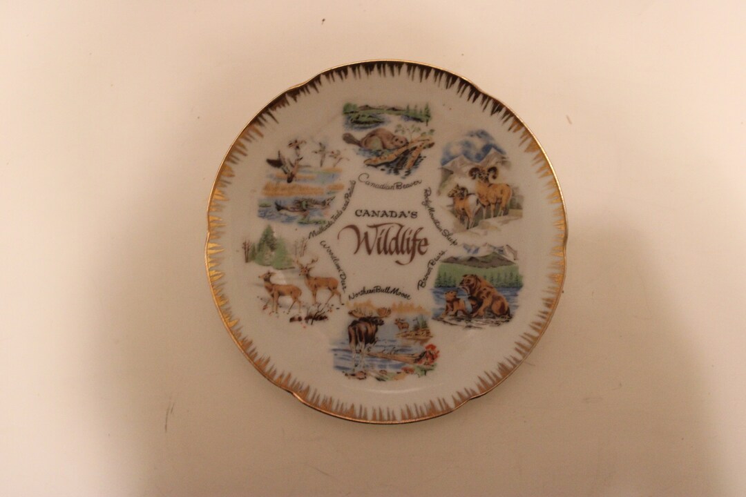 Canada's Wildlife 6.25" Souvenir Hanging Plate With Gold Trim. by Louis ...