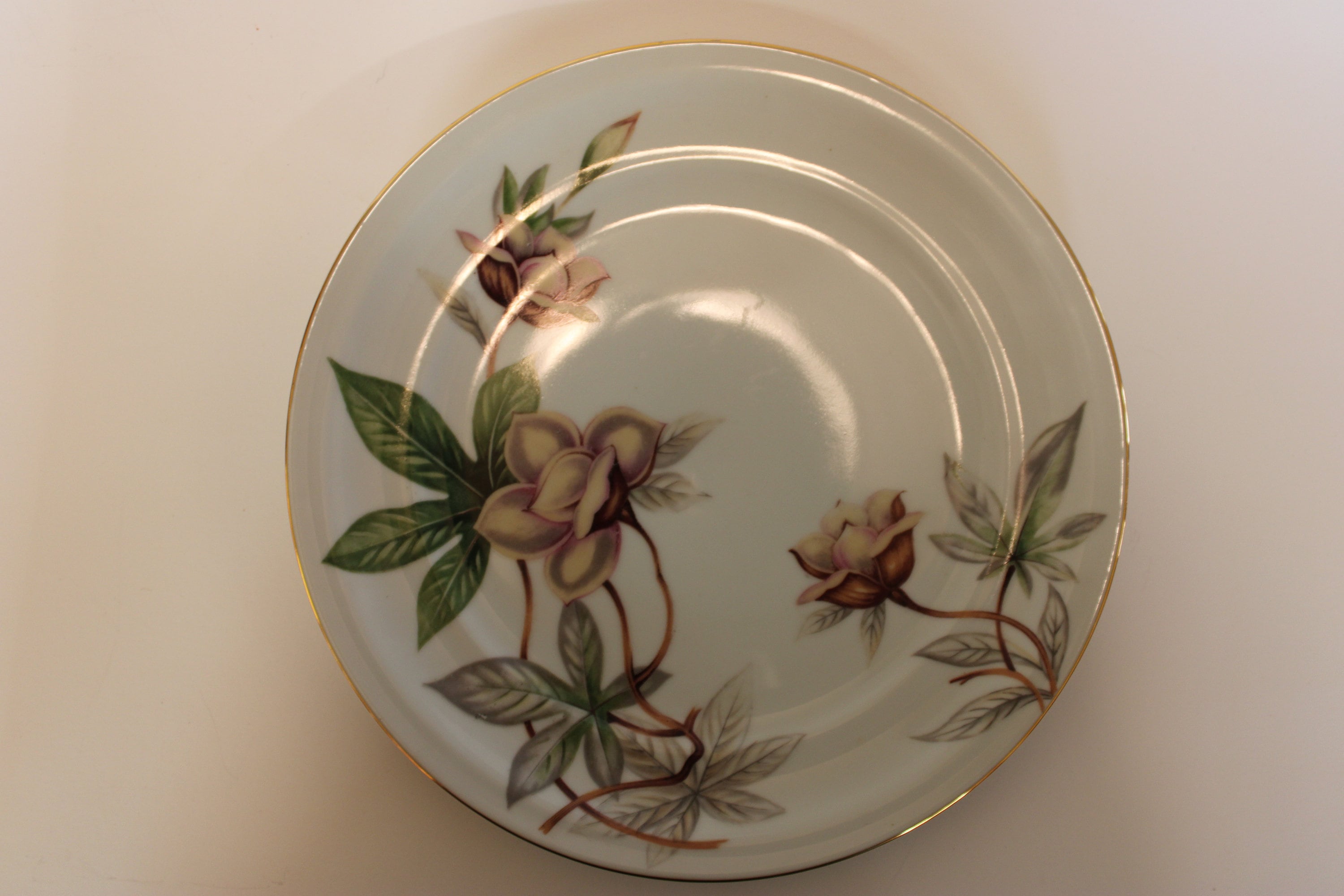 10 Plate Ivory China Meito Woodrose Floral Pattern - Etsy
