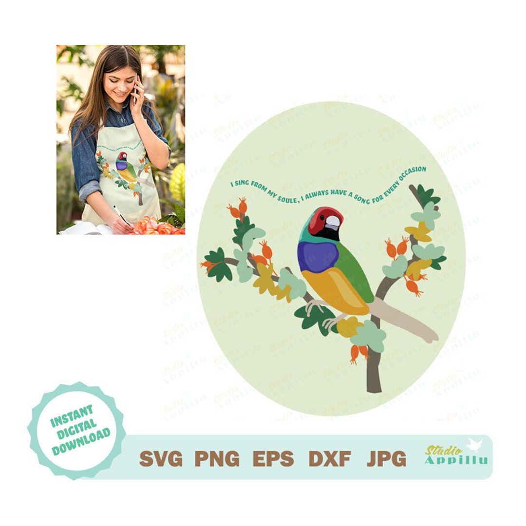 Bird SVG, Finch Bird SVG, ,colorful Bird Svg, Bird Clipart, Bird ...