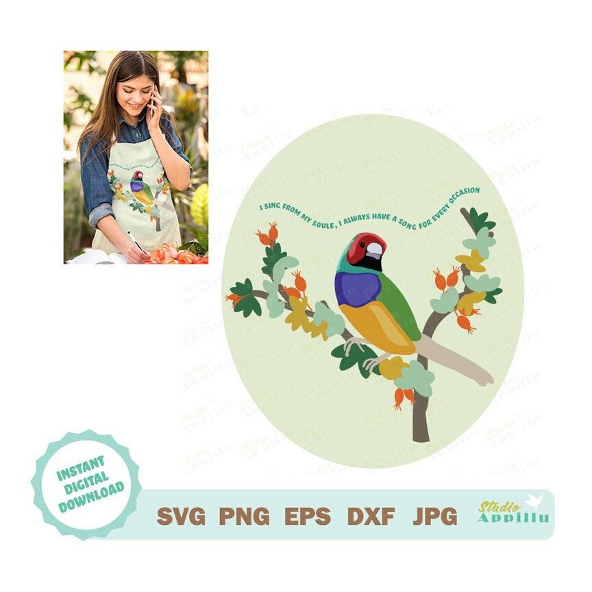 Bird SVG, Finch Bird SVG, ,colorful Bird Svg, Bird Clipart, Bird ...