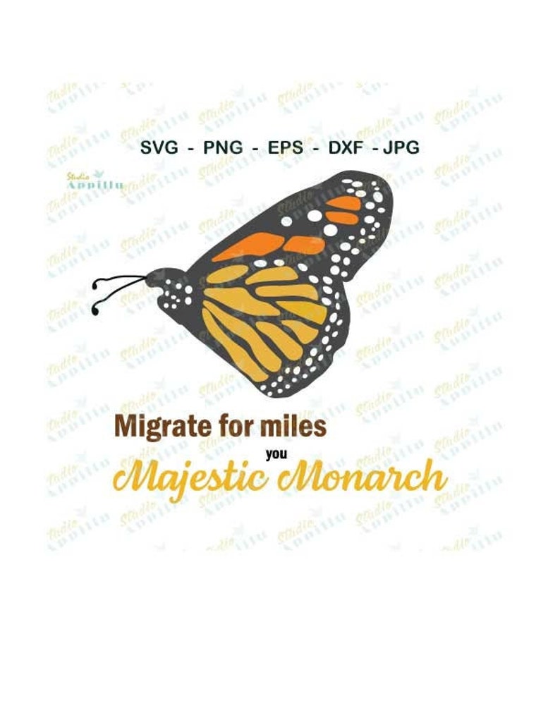 Butterfly SVG, Monarch Butterfly SVG, Pollinator SVG, Butterfly Vector ...