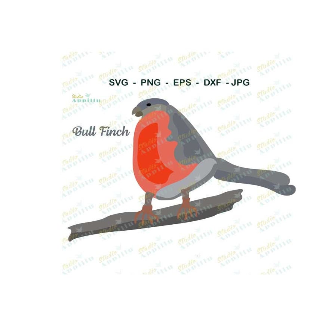 Layered Bird SVG I Finch SVG I Bird Vector Art I Finch Bird Cut File I ...