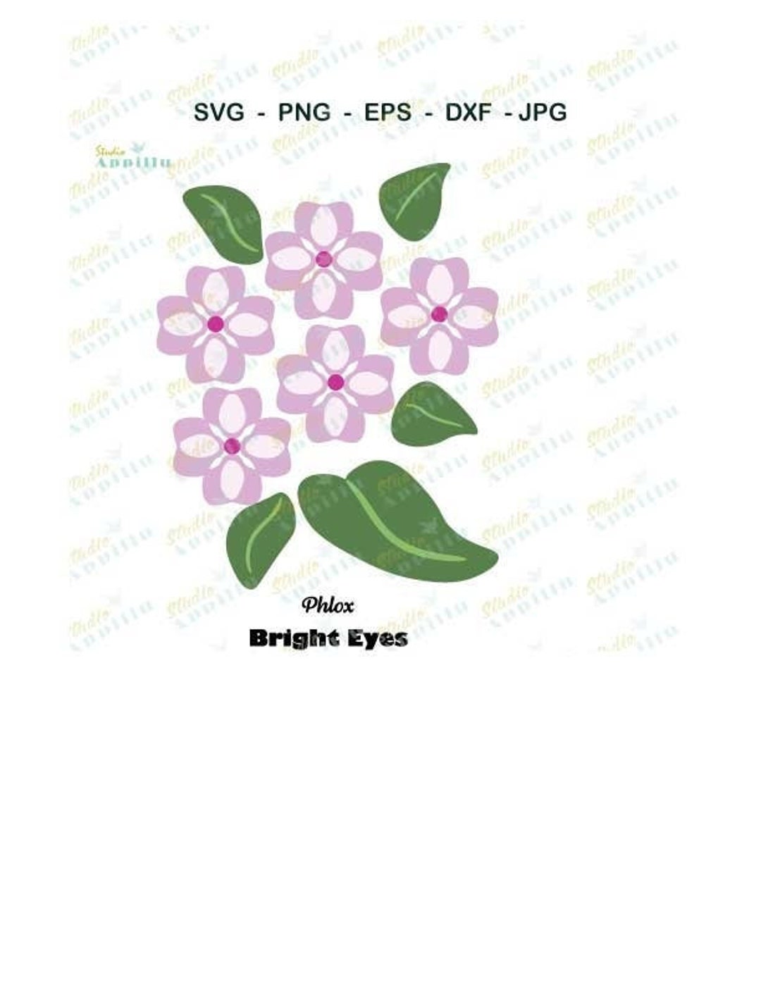 Flower SVG, Phlox SVG, Purple Flower SVG File, Phlox Vector Art, Phlox ...