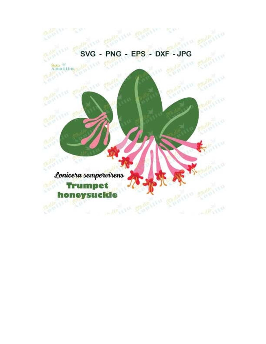 Flower SVG, Honeysuckle SVG, Red Flowers SVG File, Honeysuckle Vector ...