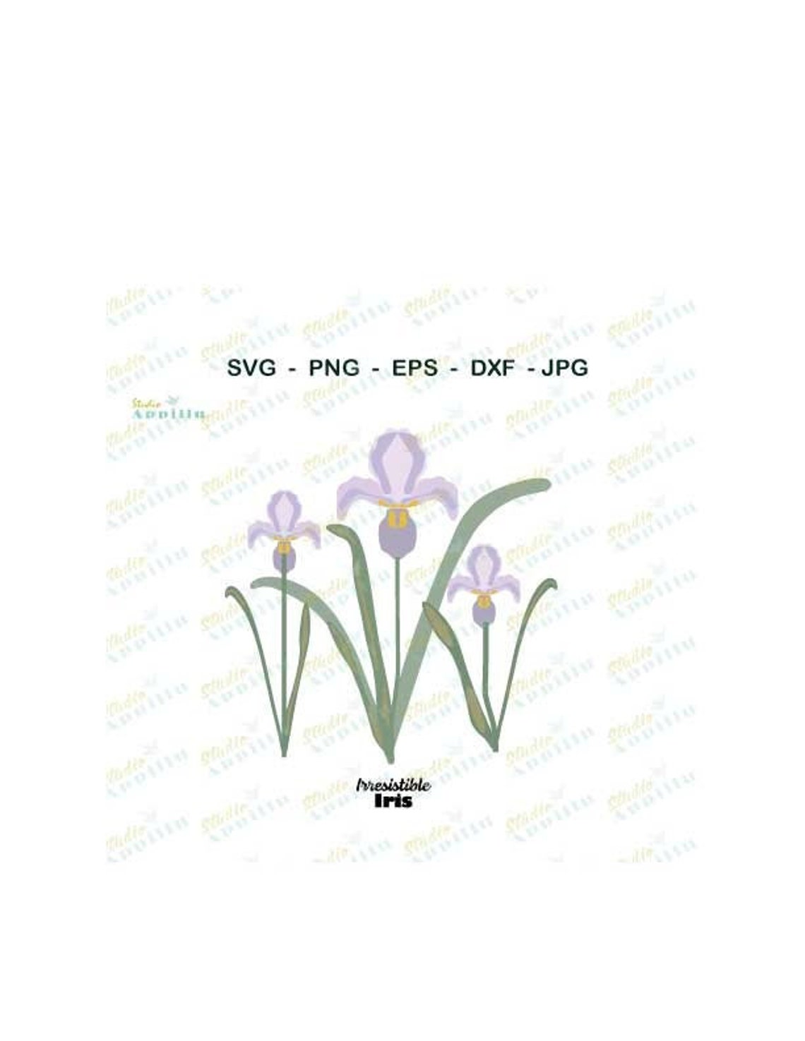 Flower SVG, Iris SVG, Purple Flower SVG File, Iris Vector Art, Iris Cut ...